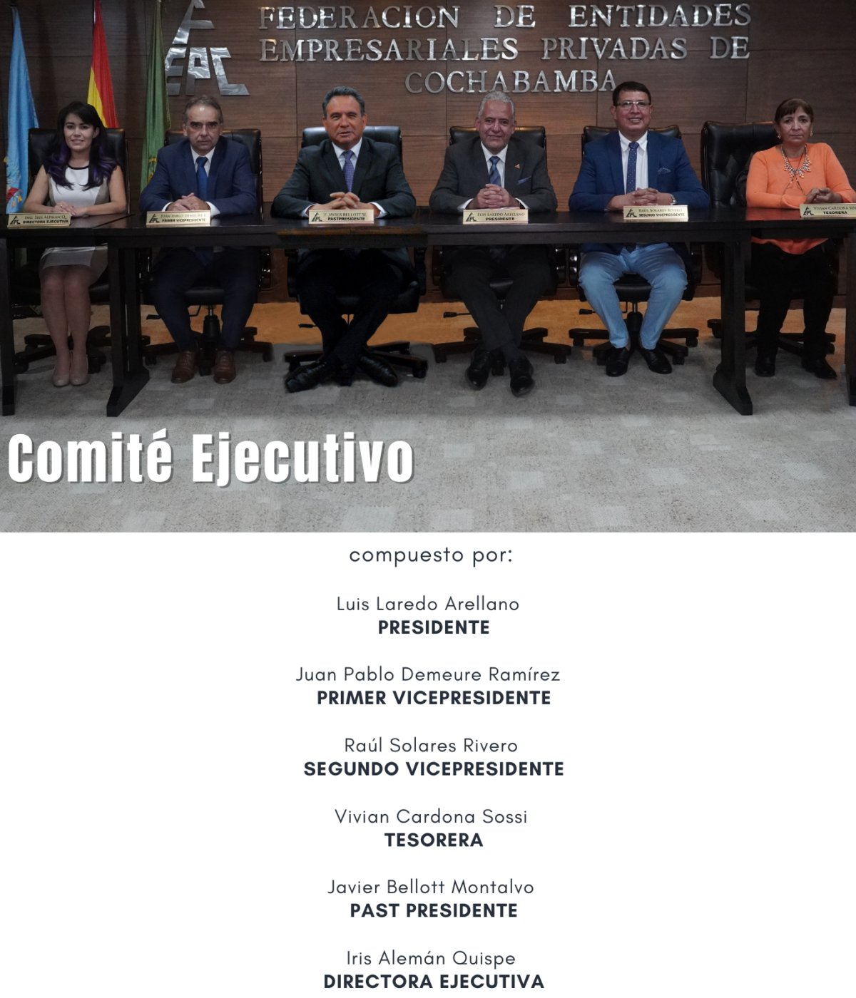 COMITÉ EJECUTIVO